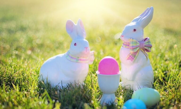 El misterioso origen del conejo de Pascua - Billiken