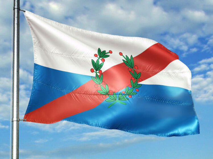 Bandera de La Rioja: historia, origen y significado - Billiken