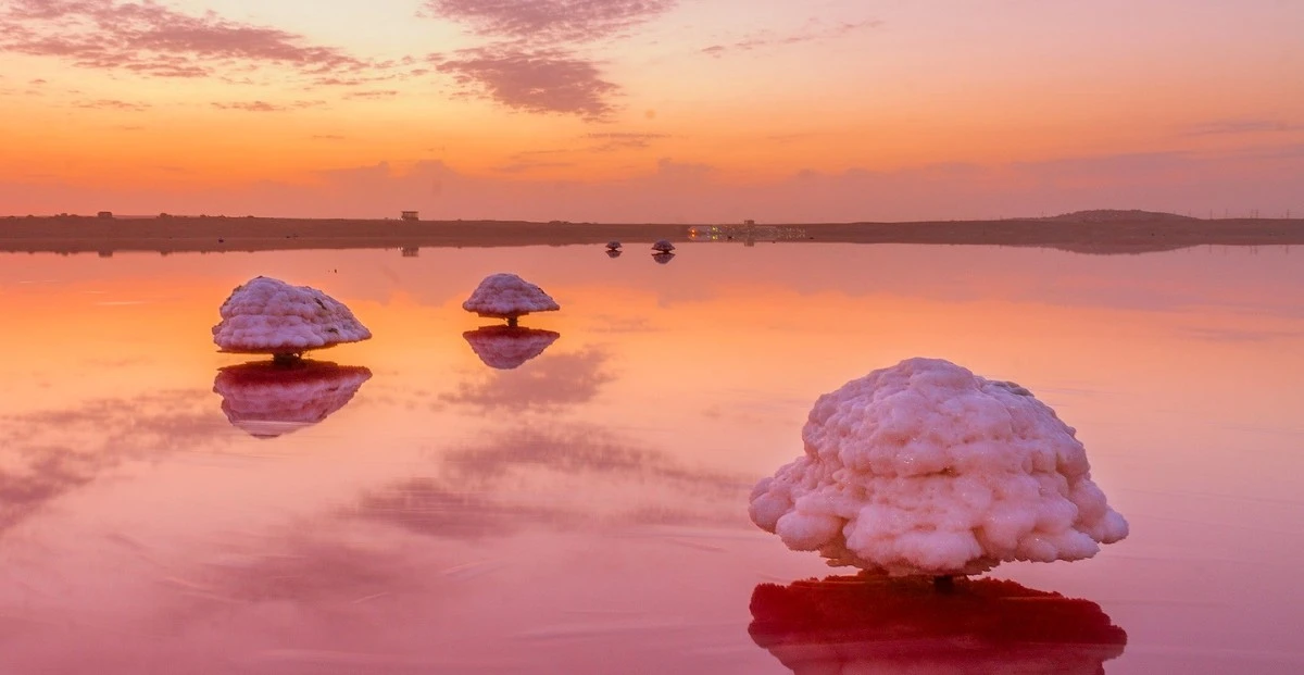 Lago Masazir: el curioso lago rosa de Azerbaiyán que tiene "nubes" de ...